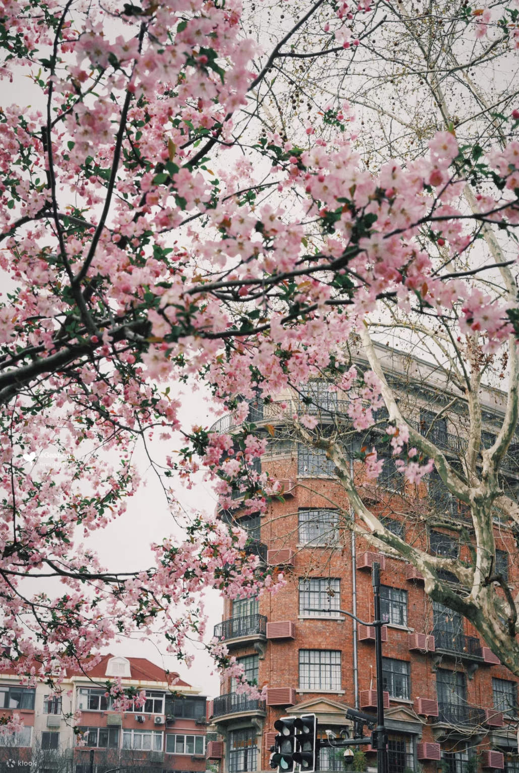 Shanghai Spring Street Citywalk (check in the most popular internet ...